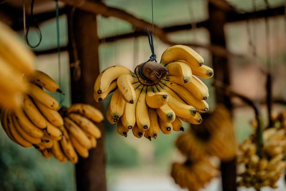 Benefícios da banana: 12 razões para consumir