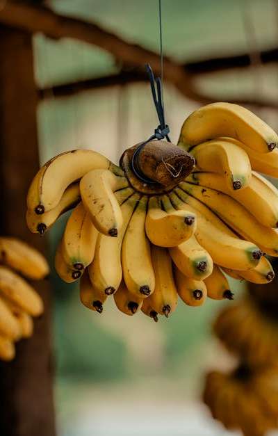 Benefícios da banana: 12 razões para consumir